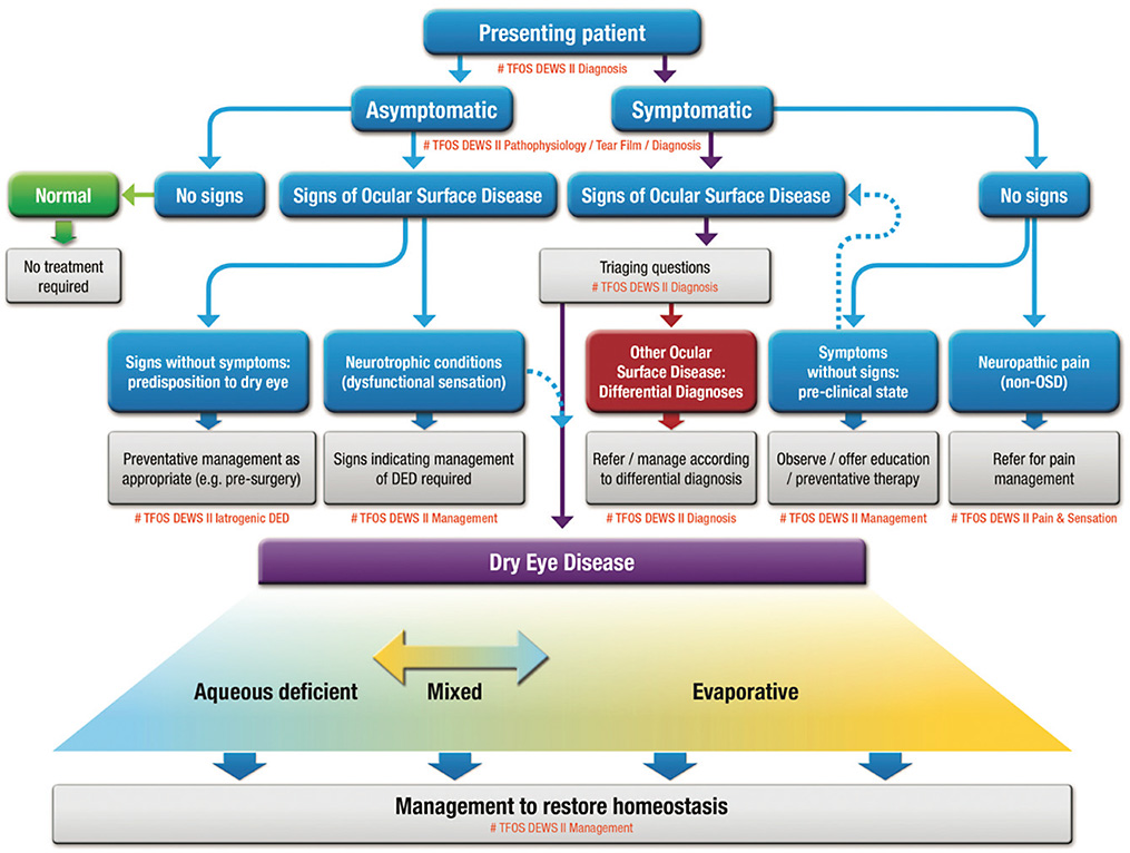 Classification of dry eye disease | Ophthalmic Professional